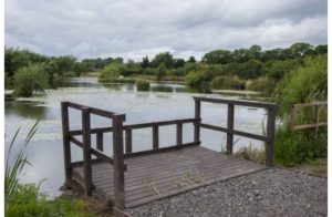 Pond Dipping Platform - Marmax Products - May 16, 2026