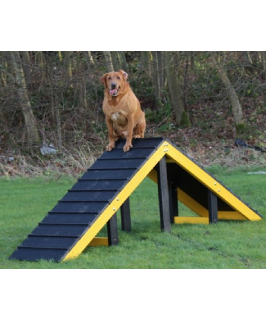 Dog Agility Ramps - Dog Training & Fitness - Marmax Products