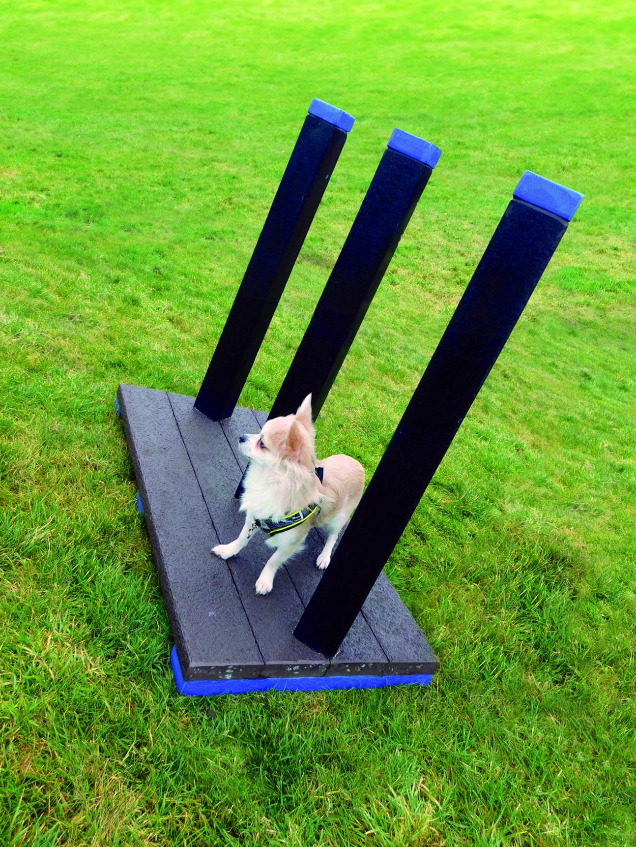 1m Weaving Post - Dog Fitness & Play Equipment - Marmax