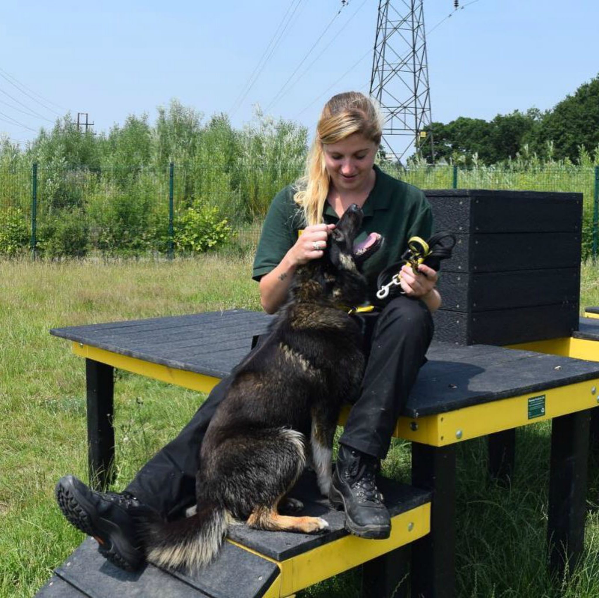 Dog Training Platforms - Marmax Recycled Plastic Products UK