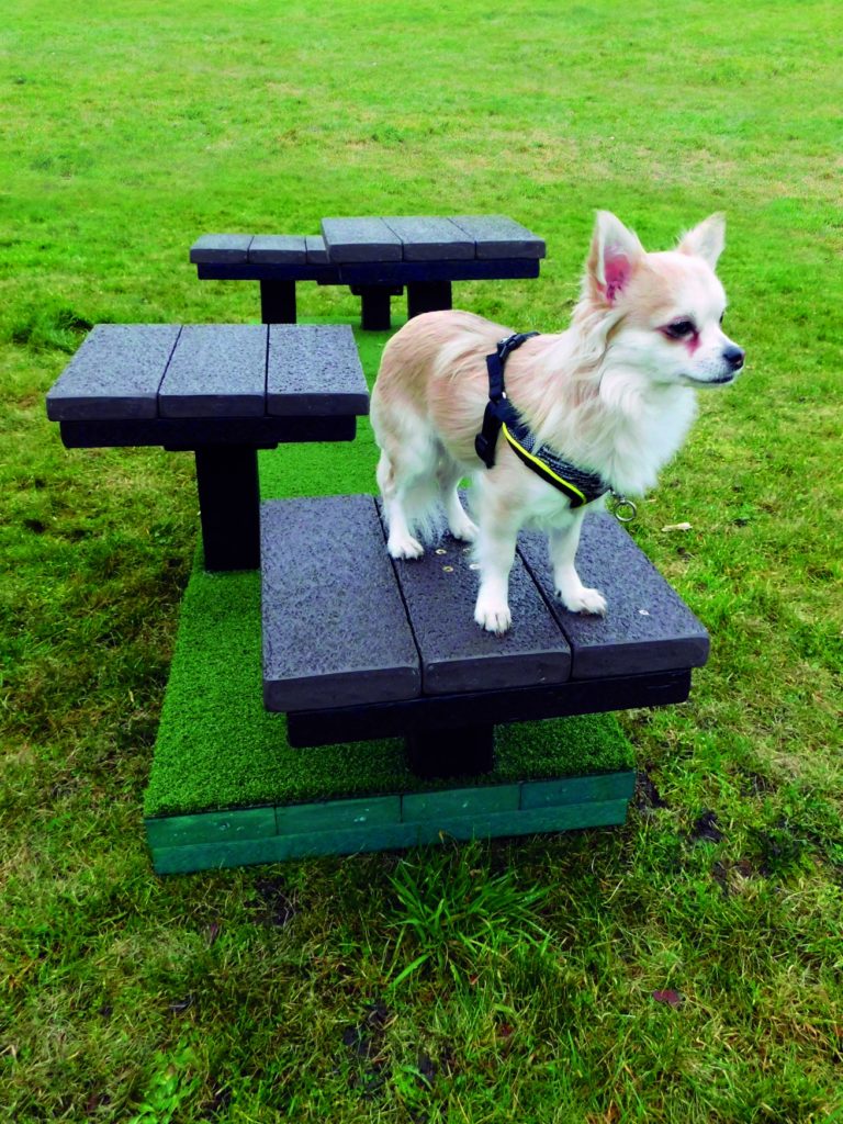 Dog Agility Platform Jumps - Small Dog Play Equipment - Marmax