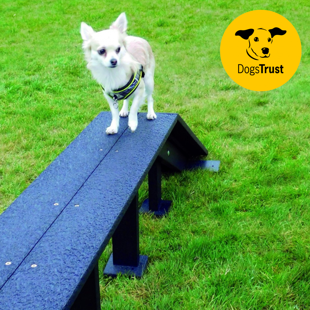 Balance Ramp - Marmax Recycled Plastic Products