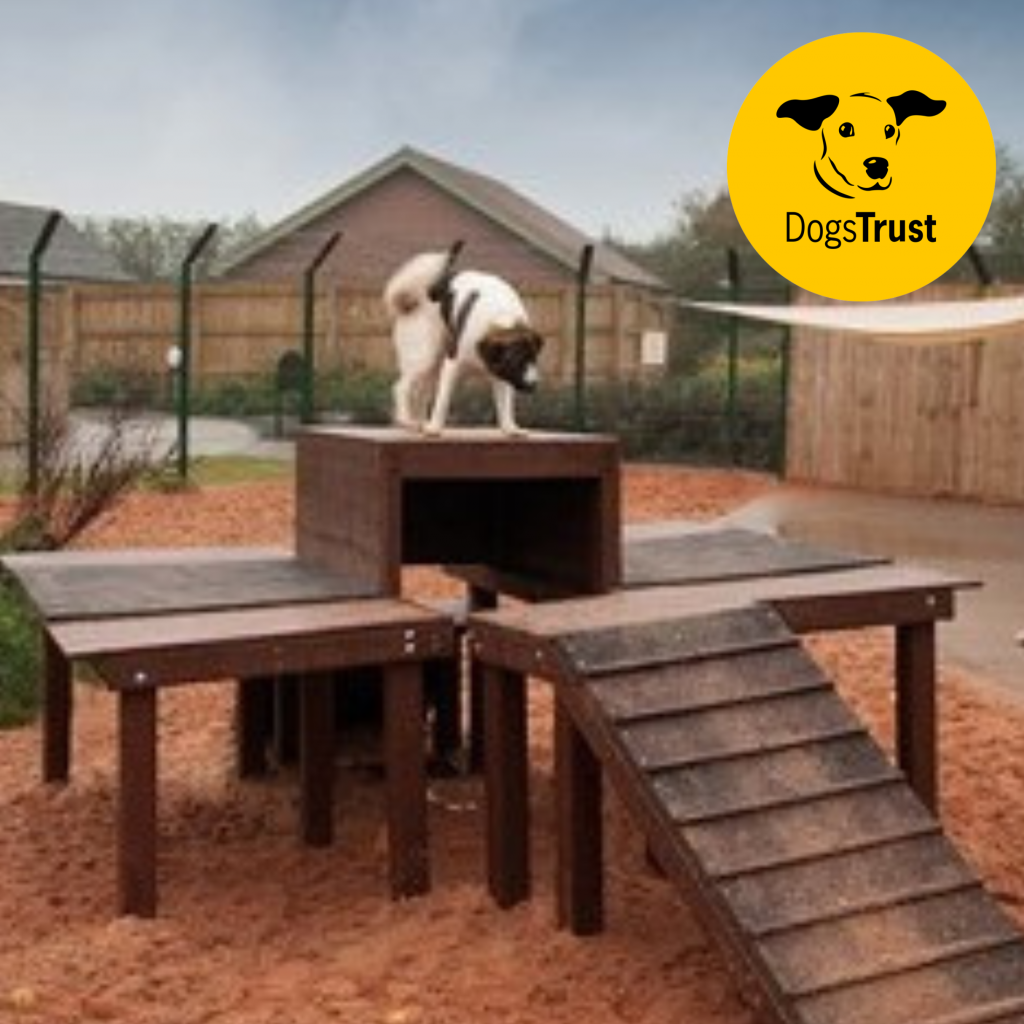 Dog Training Platforms - Marmax Recycled Plastic Products UK